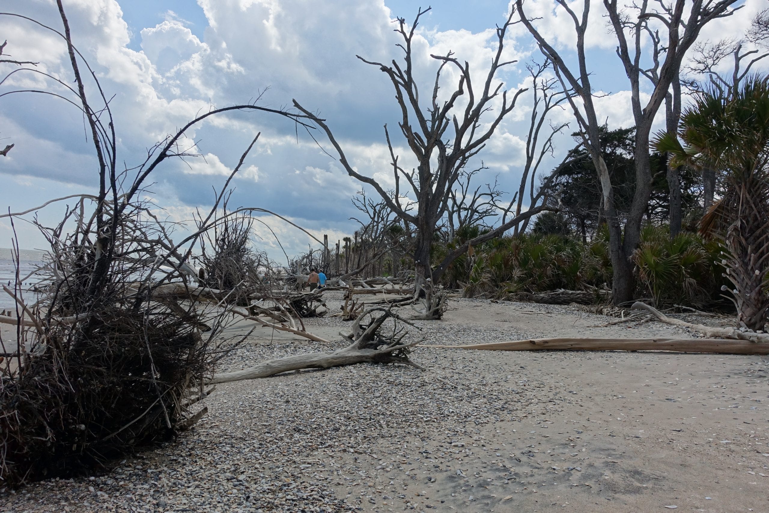 Botany Bay, SC - Sylvie's Adventures