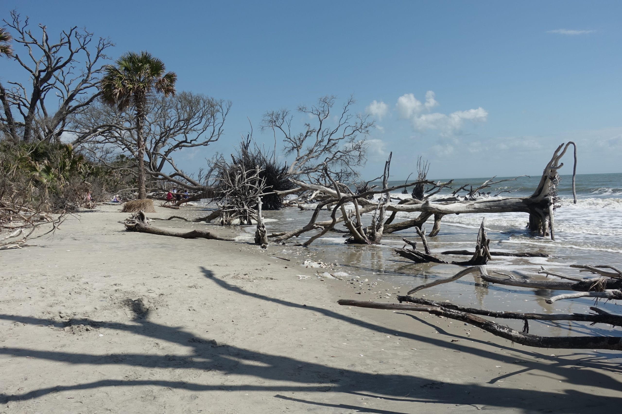 Botany Bay, SC – Sylvie's Adventures