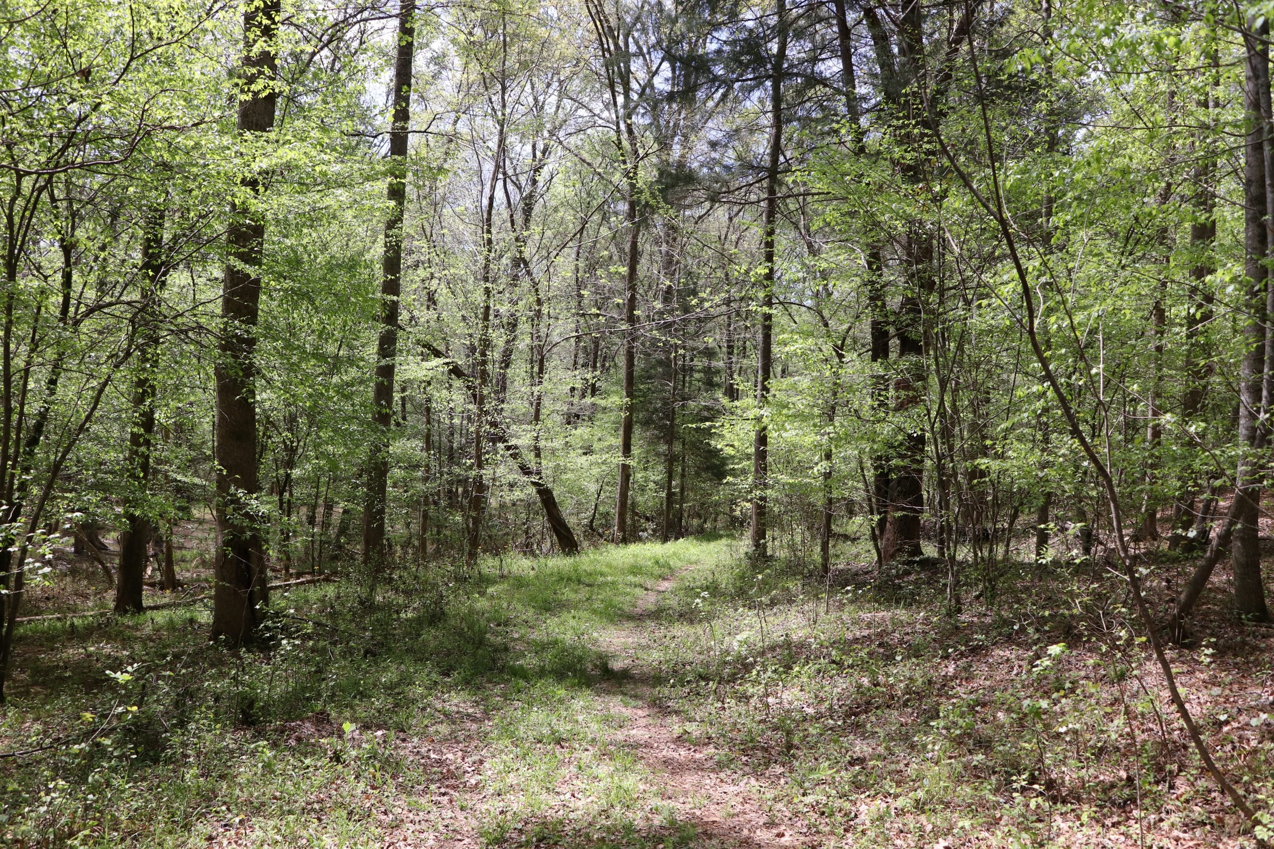 Palmetto Trail: Enoree Passage, SC - Sylvie's Adventures