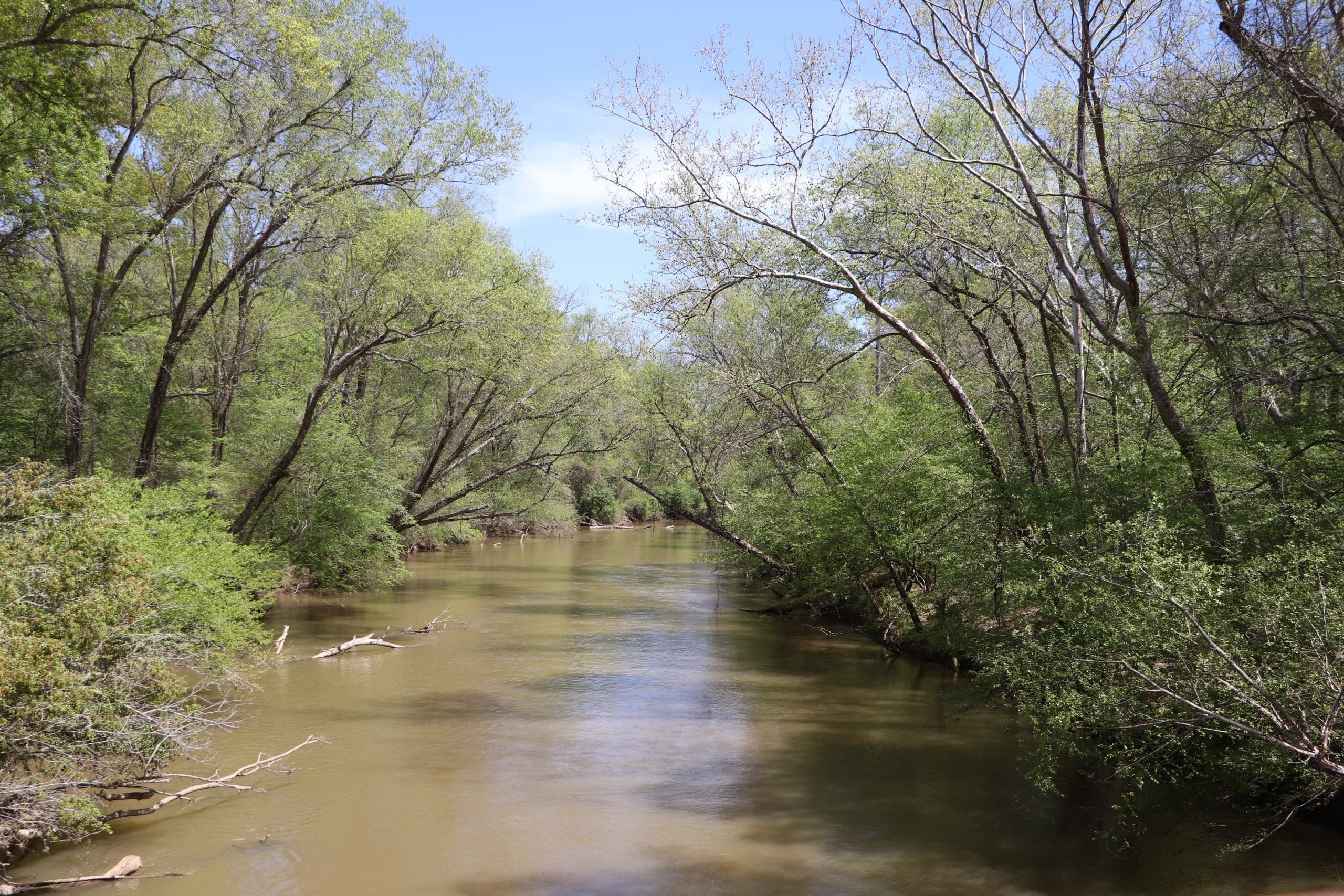 Palmetto Trail: Enoree Passage, SC - Sylvie's Adventures