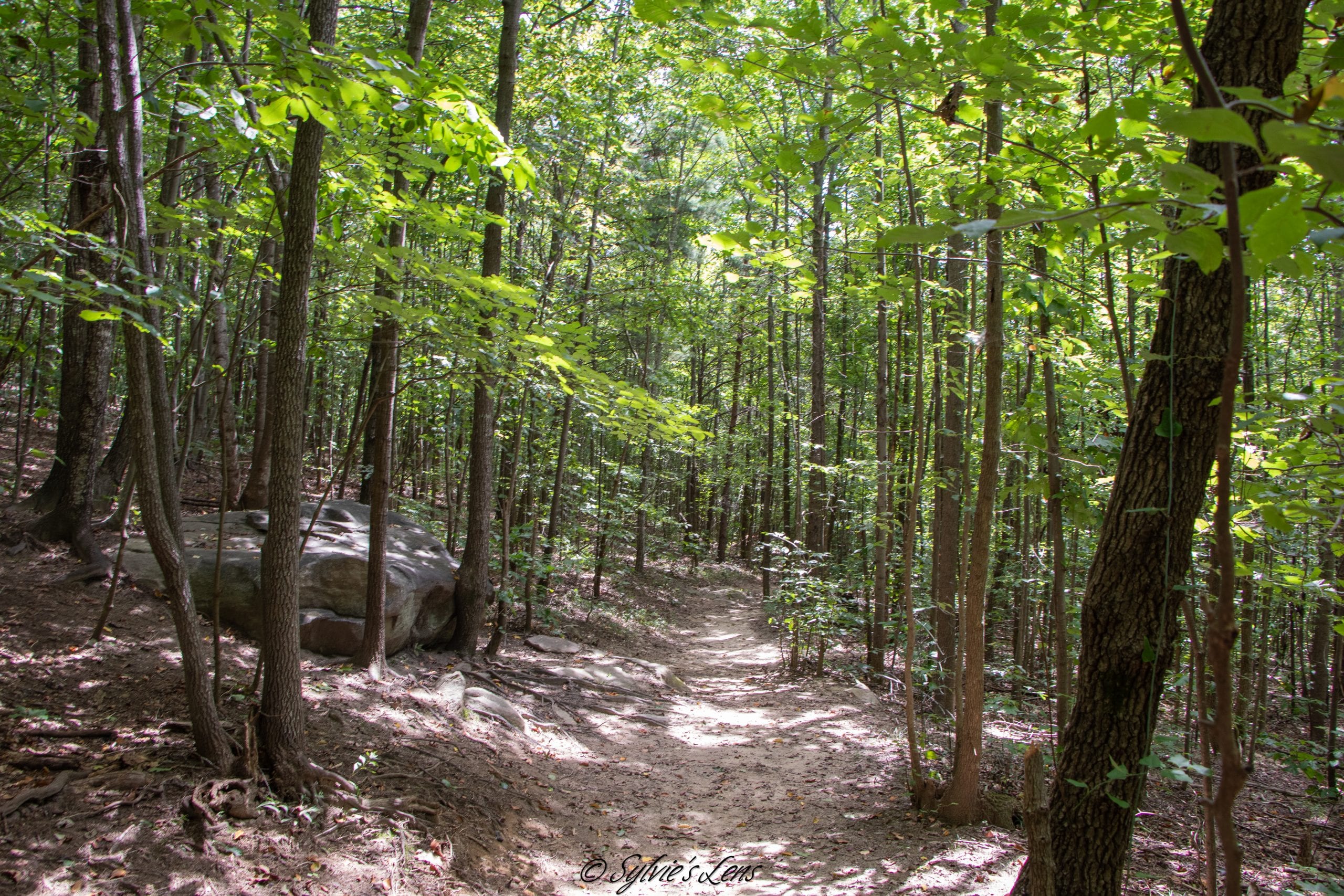 Chestnut Ridge Heritage Preserve WMA, SC – Sylvie's Adventures