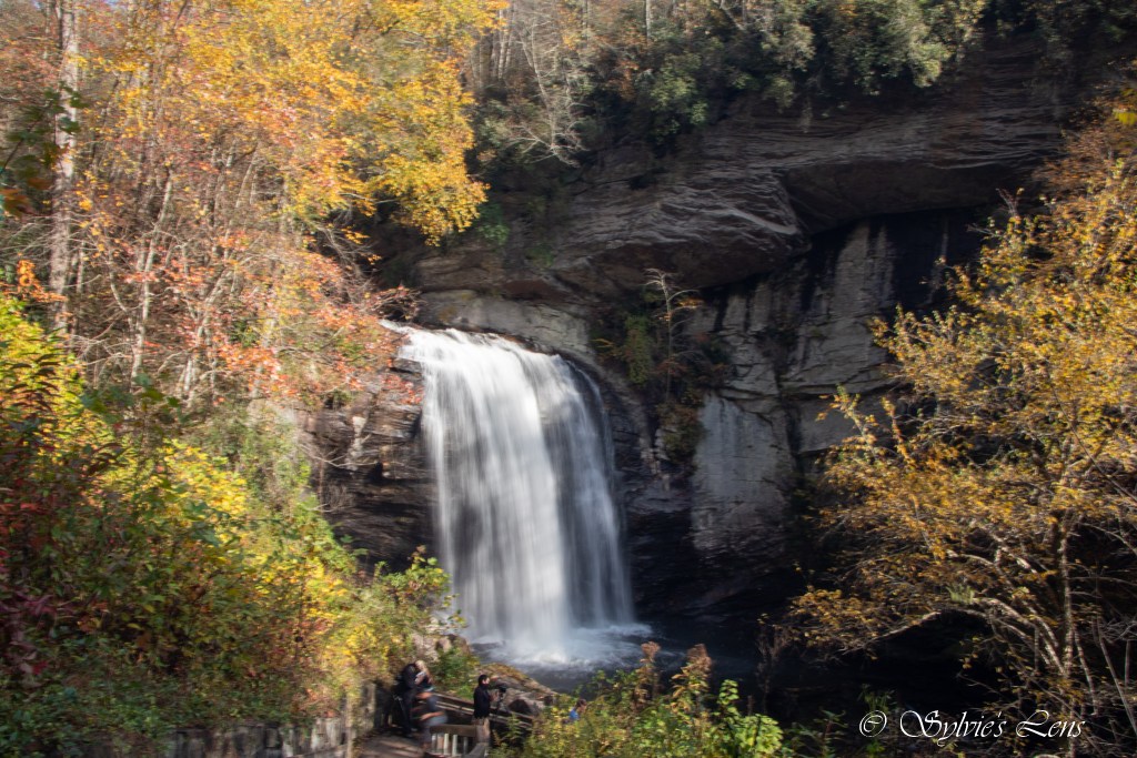 Looking Glass Falls, NC - Sylvie's Adventures