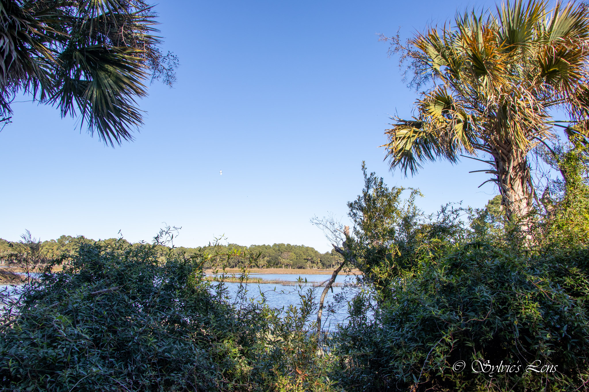 Cape Romain National Wildlife Refuge, SC – Sylvie's Adventures