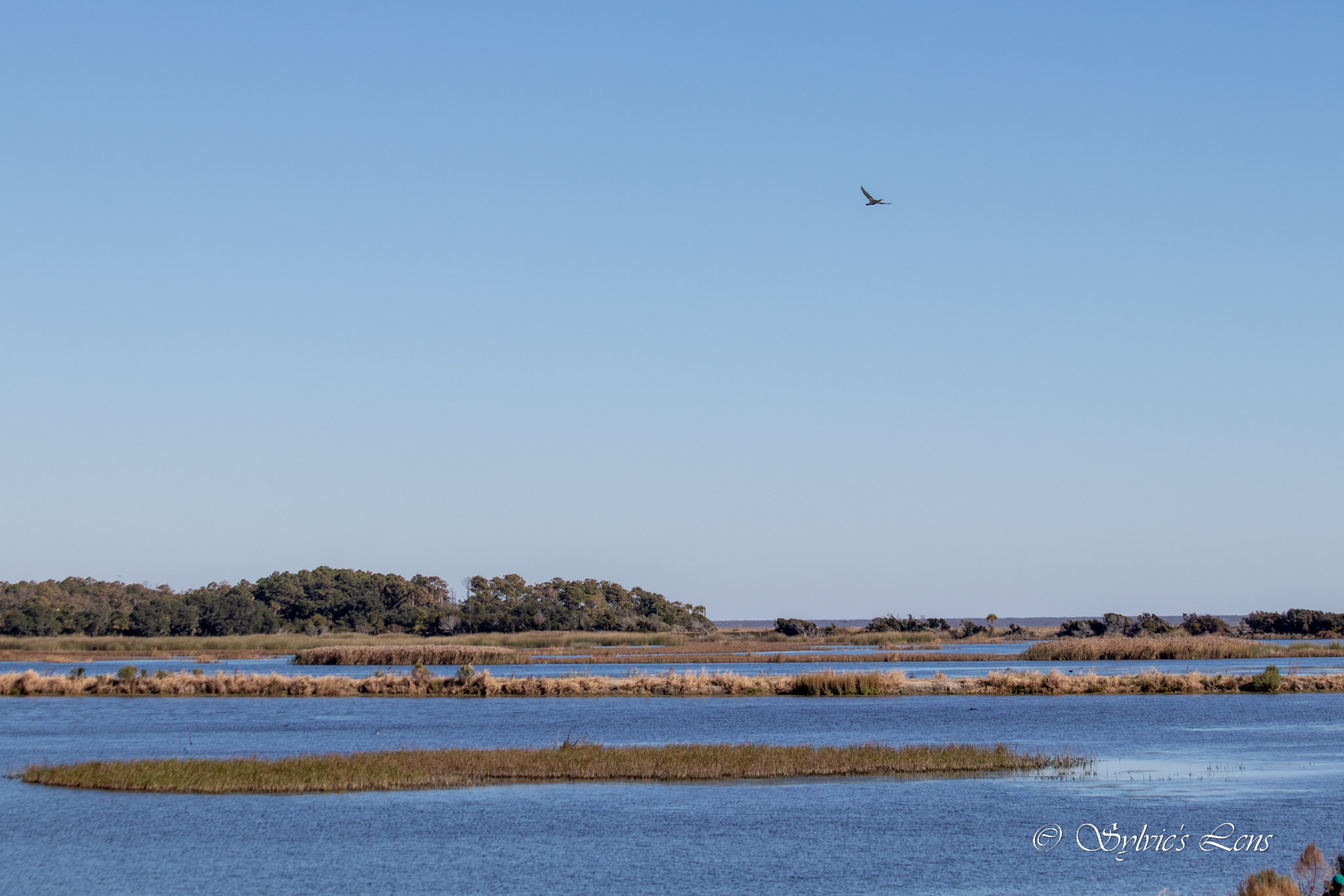 Cape Romain National Wildlife Refuge, SC – Sylvie's Adventures