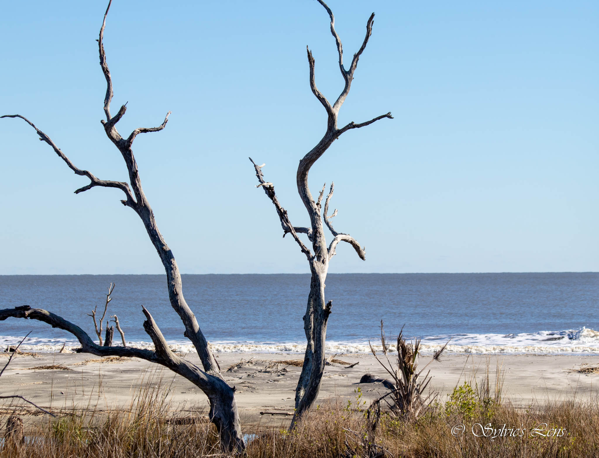 Cape Romain National Wildlife Refuge, SC – Sylvie's Adventures
