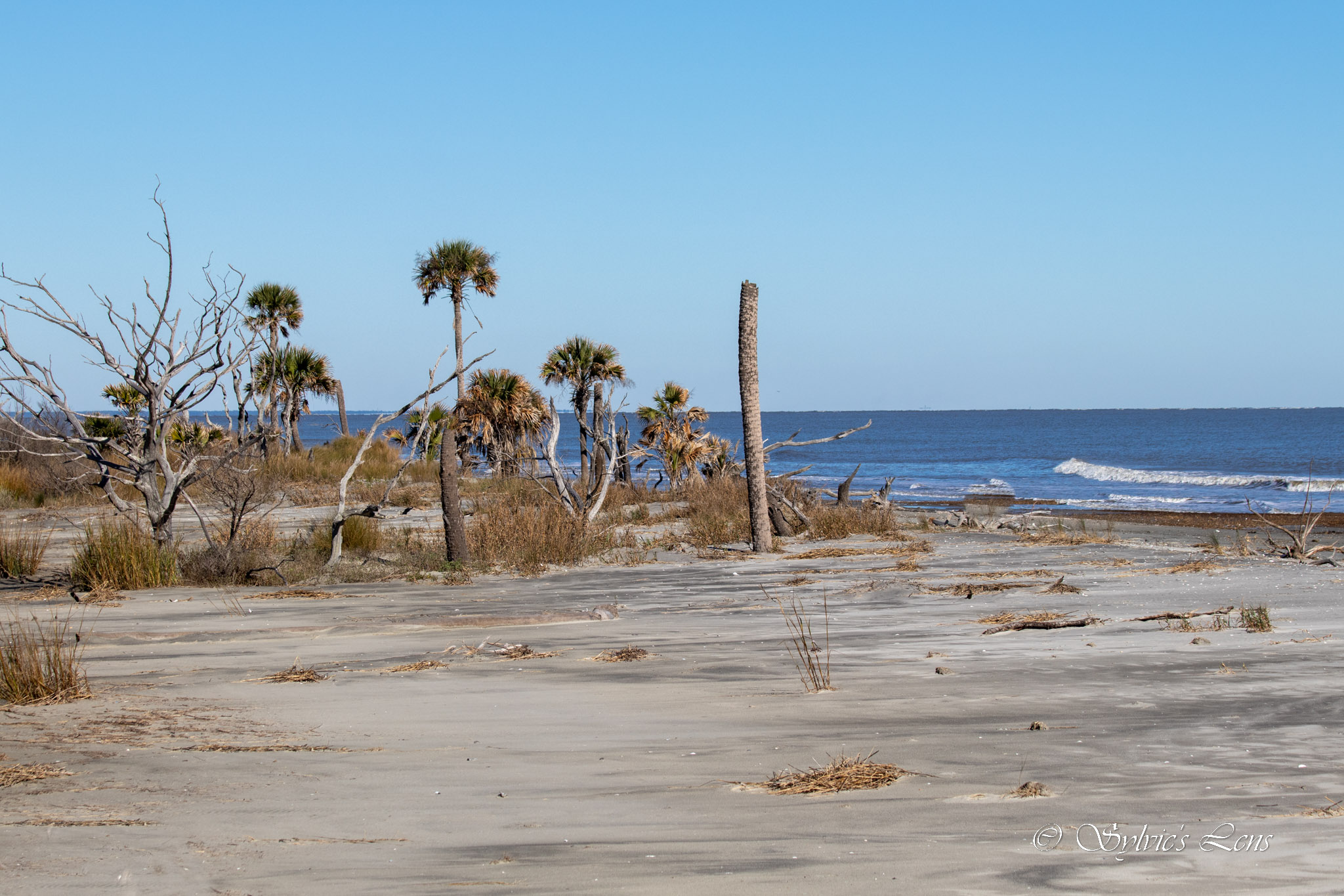 Cape Romain National Wildlife Refuge, SC – Sylvie's Adventures