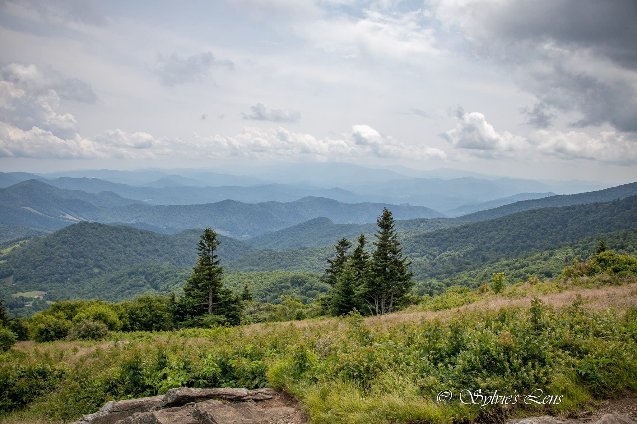 Jane Bald via Appalachian Trail, TN - Sylvie's Adventures