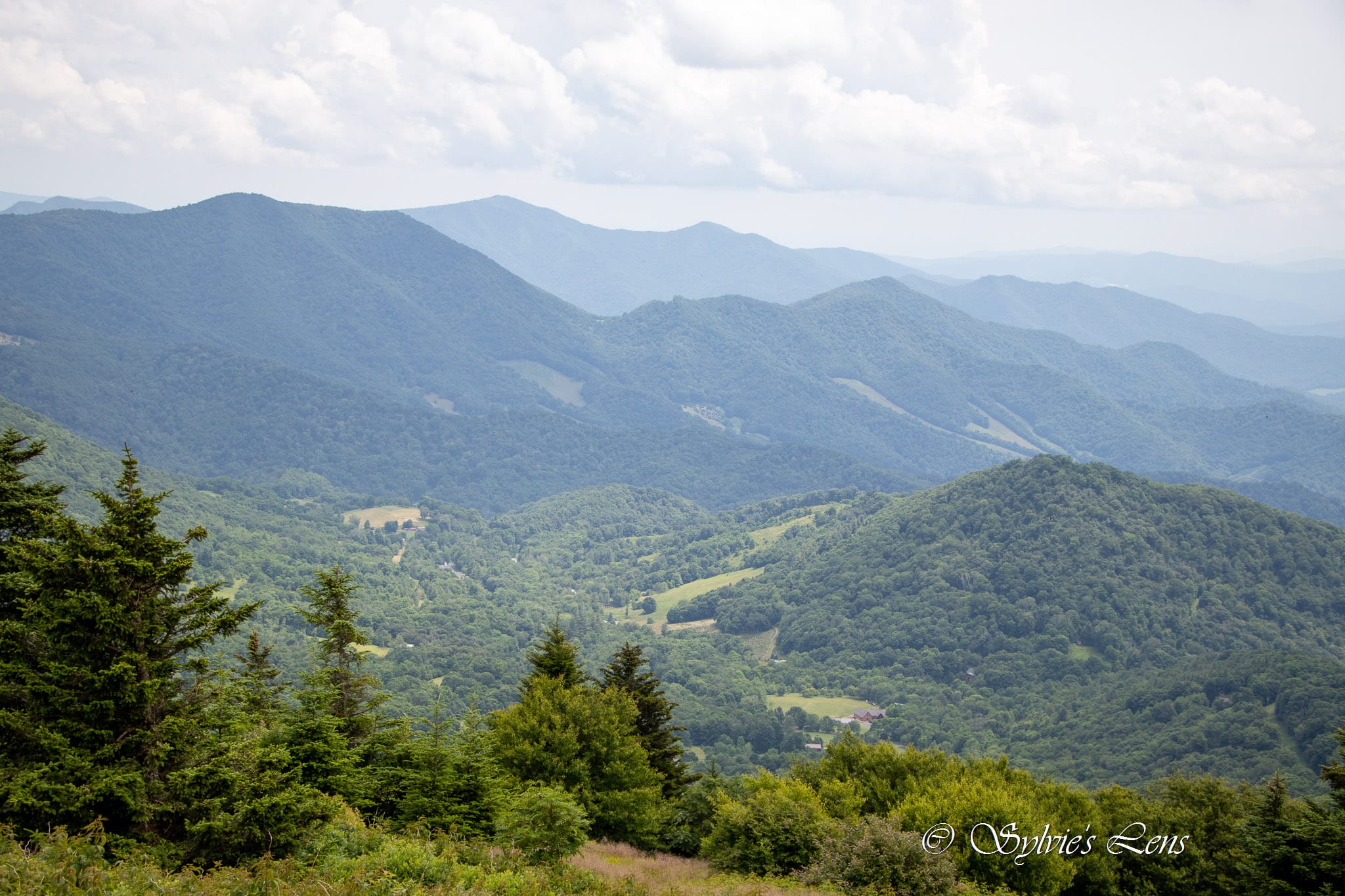 Jane Bald via Appalachian Trail, TN – Sylvie's Adventures