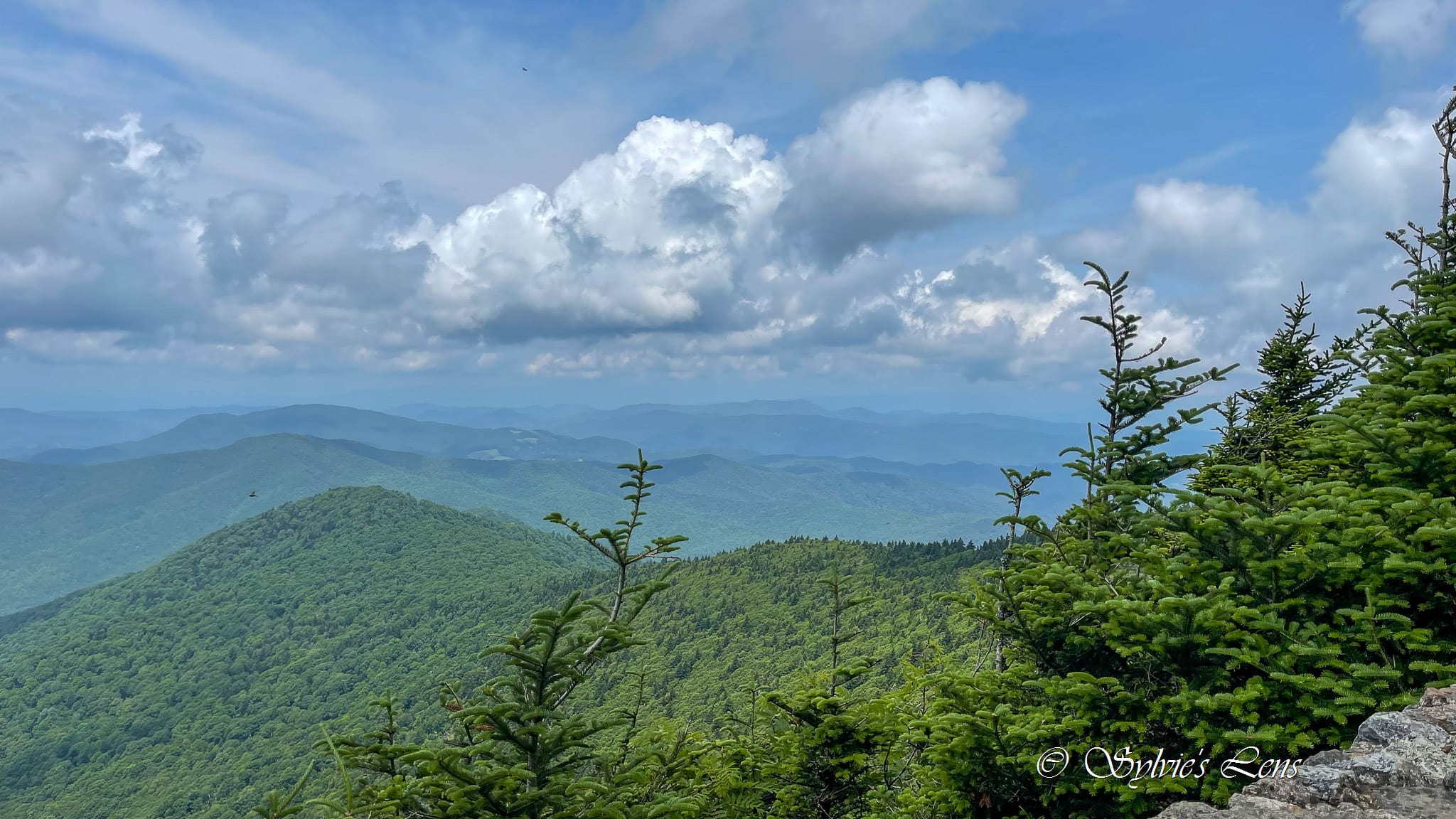 Jane Bald via Appalachian Trail, TN - Sylvie's Adventures