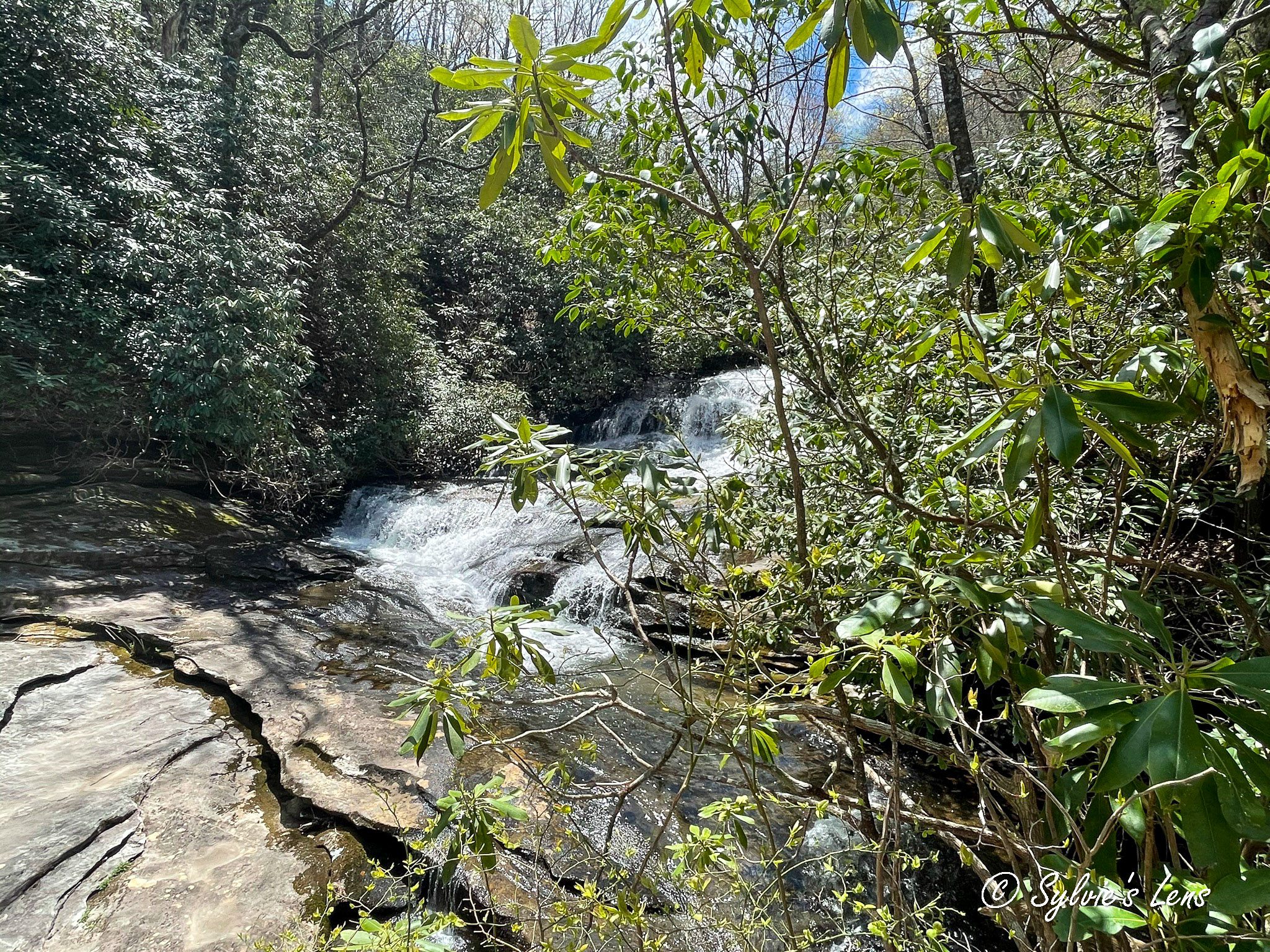 Raven Cliff Falls 2021, SC - Sylvie's Adventures