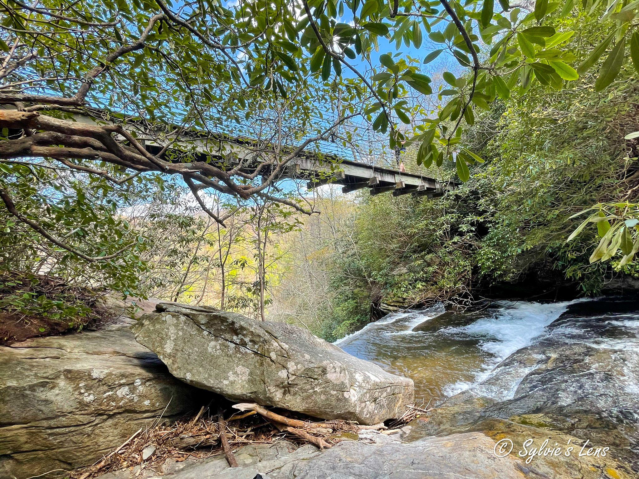 Raven Cliff Falls 2021, SC - Sylvie's Adventures