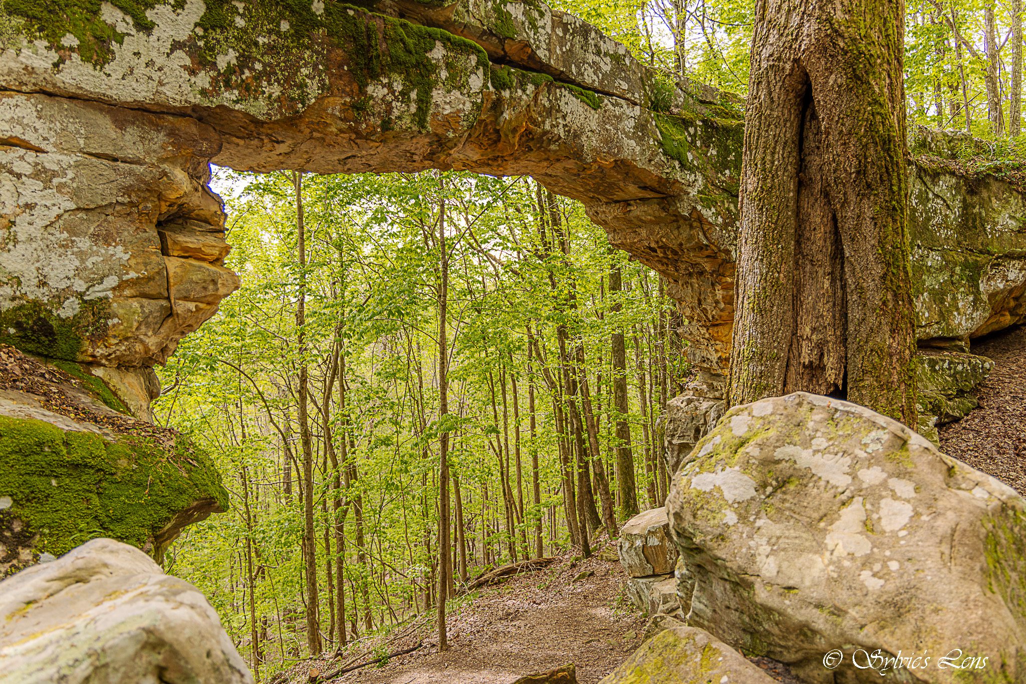 The Sewanee Natural Bridge, TN – Sylvie's Adventures