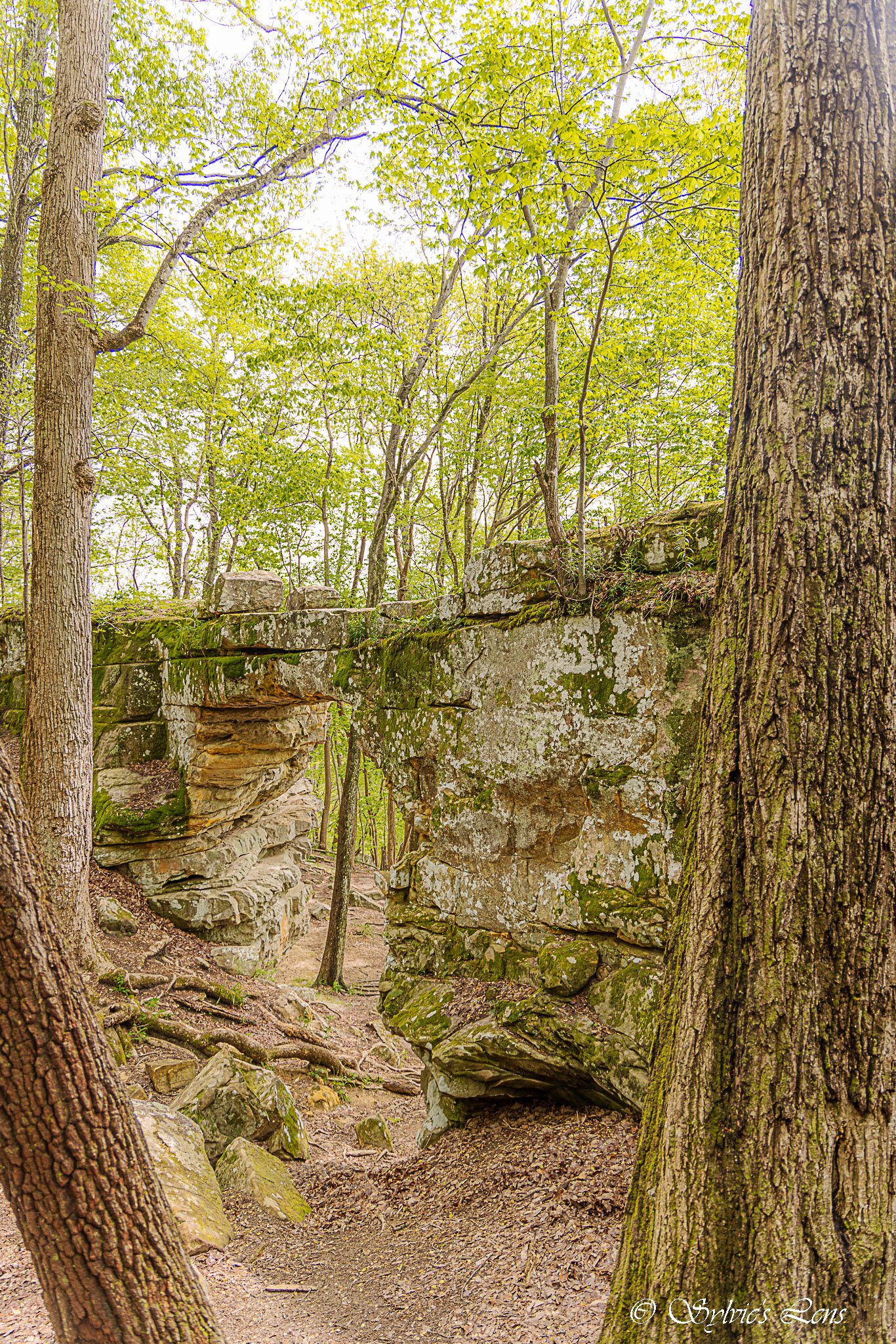 The Sewanee Natural Bridge, TN – Sylvie's Adventures
