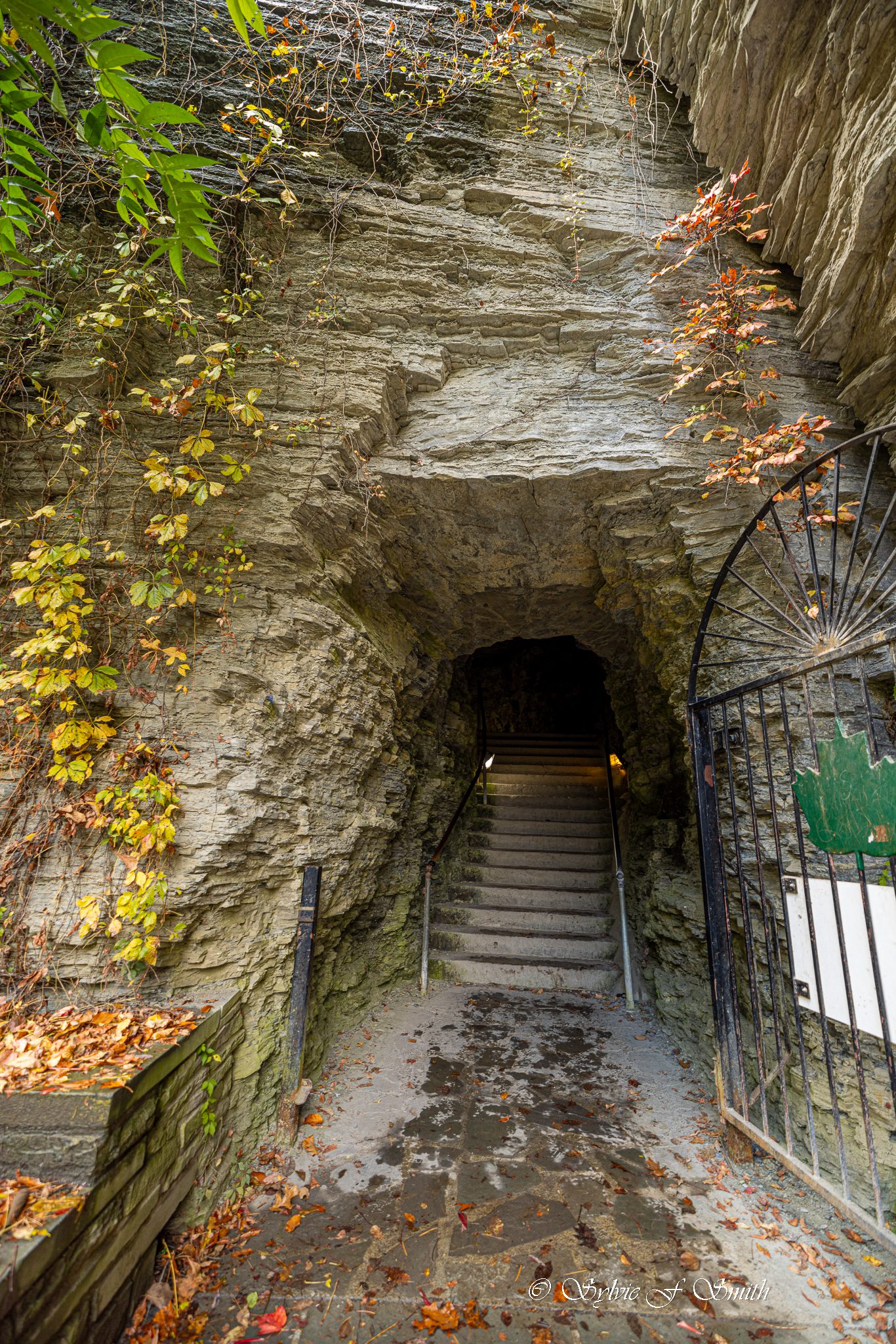 Watkins Glen State Park, NY – Sylvie's Adventures