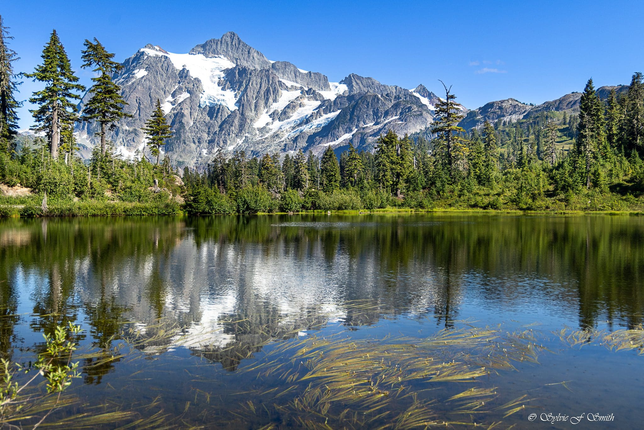 Washington State Hikes – Sylvie's Adventures